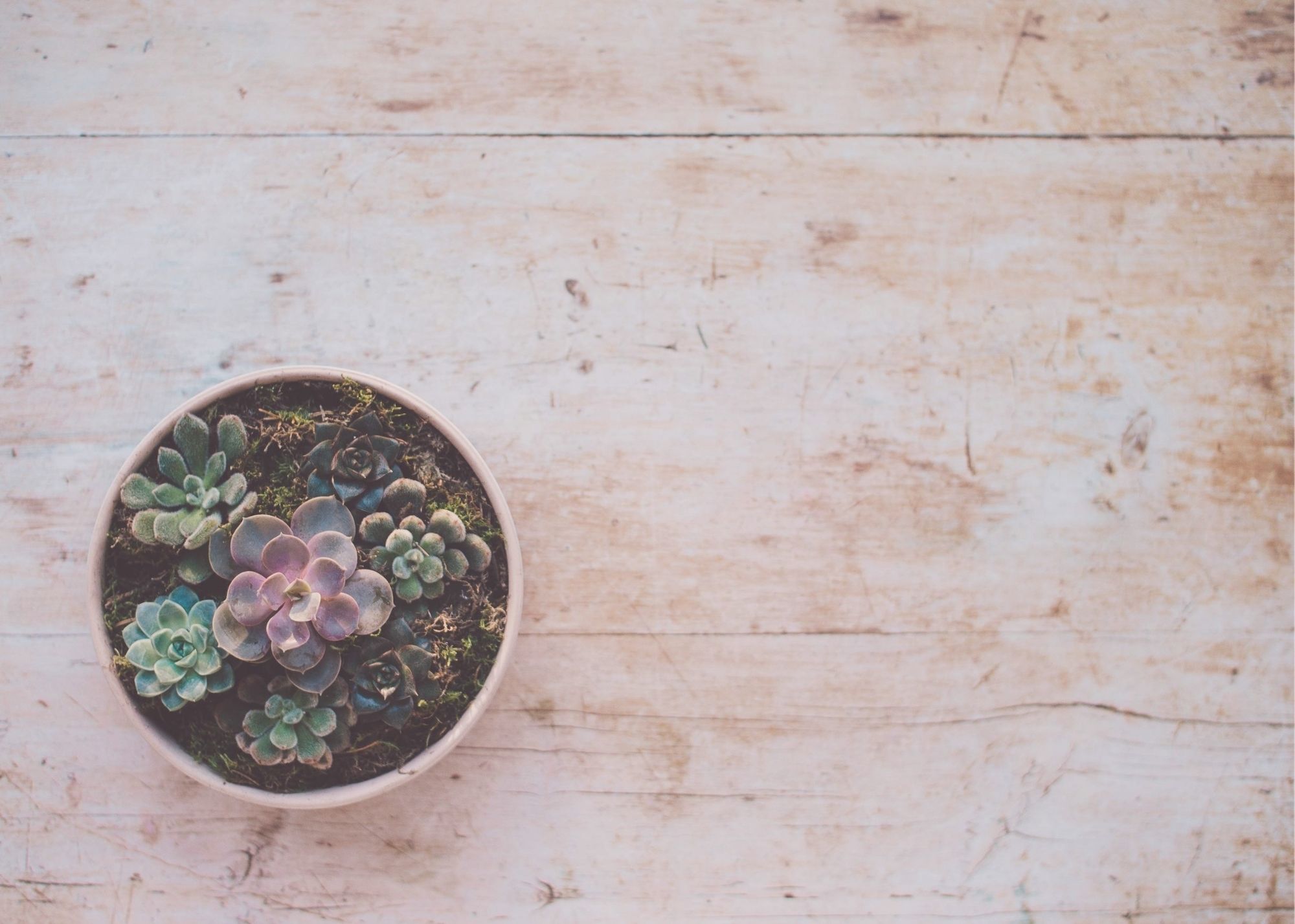 Blog - Jen Bell Yoga