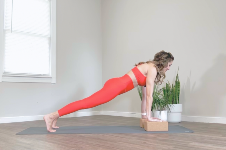 6 Ways to do Plank Pose for beginners and Fitness fanatics + Anatomy ...